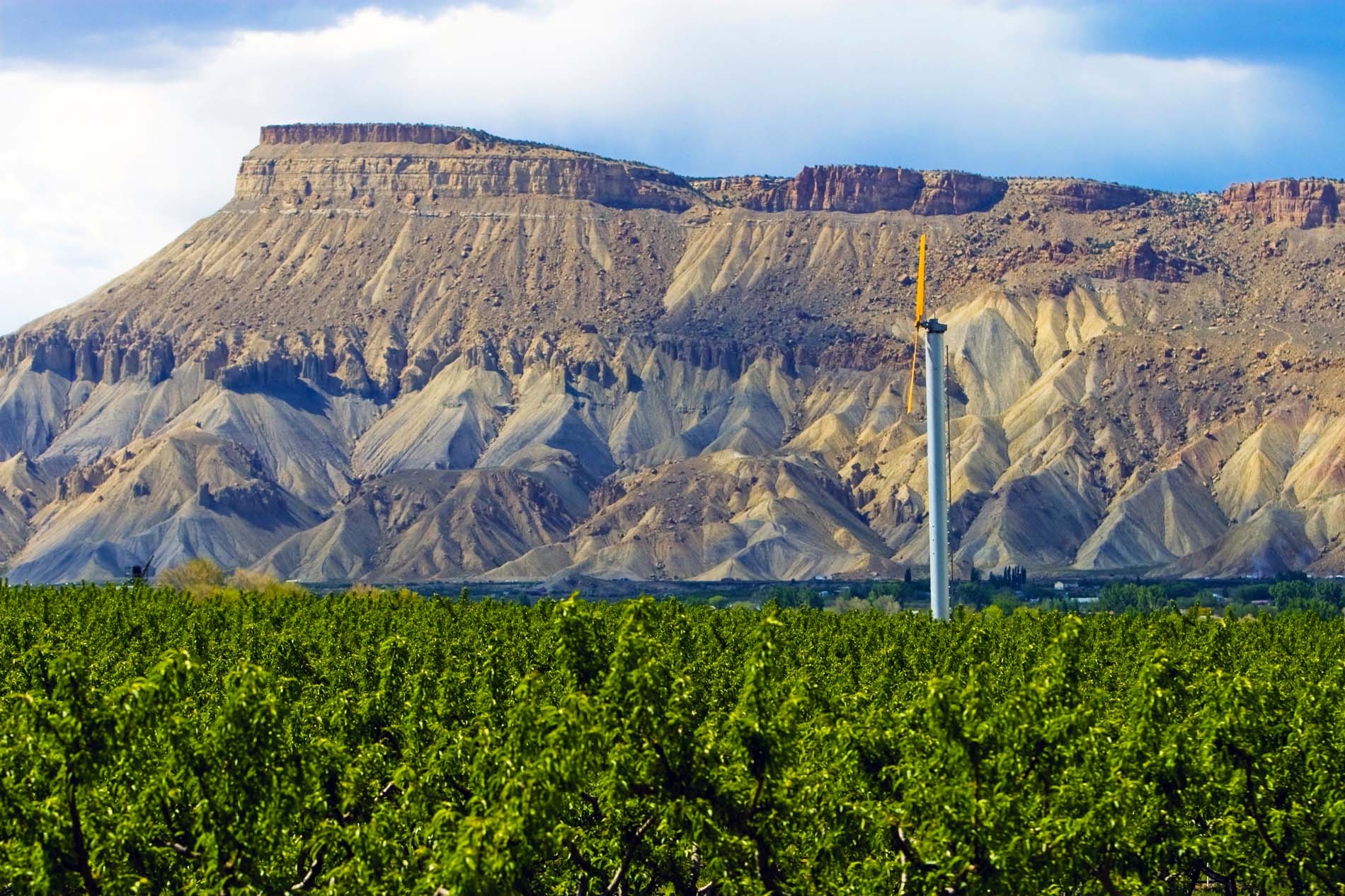 Denver vs. Calgary (largest, south, metro, live) - City vs. City - Page ...